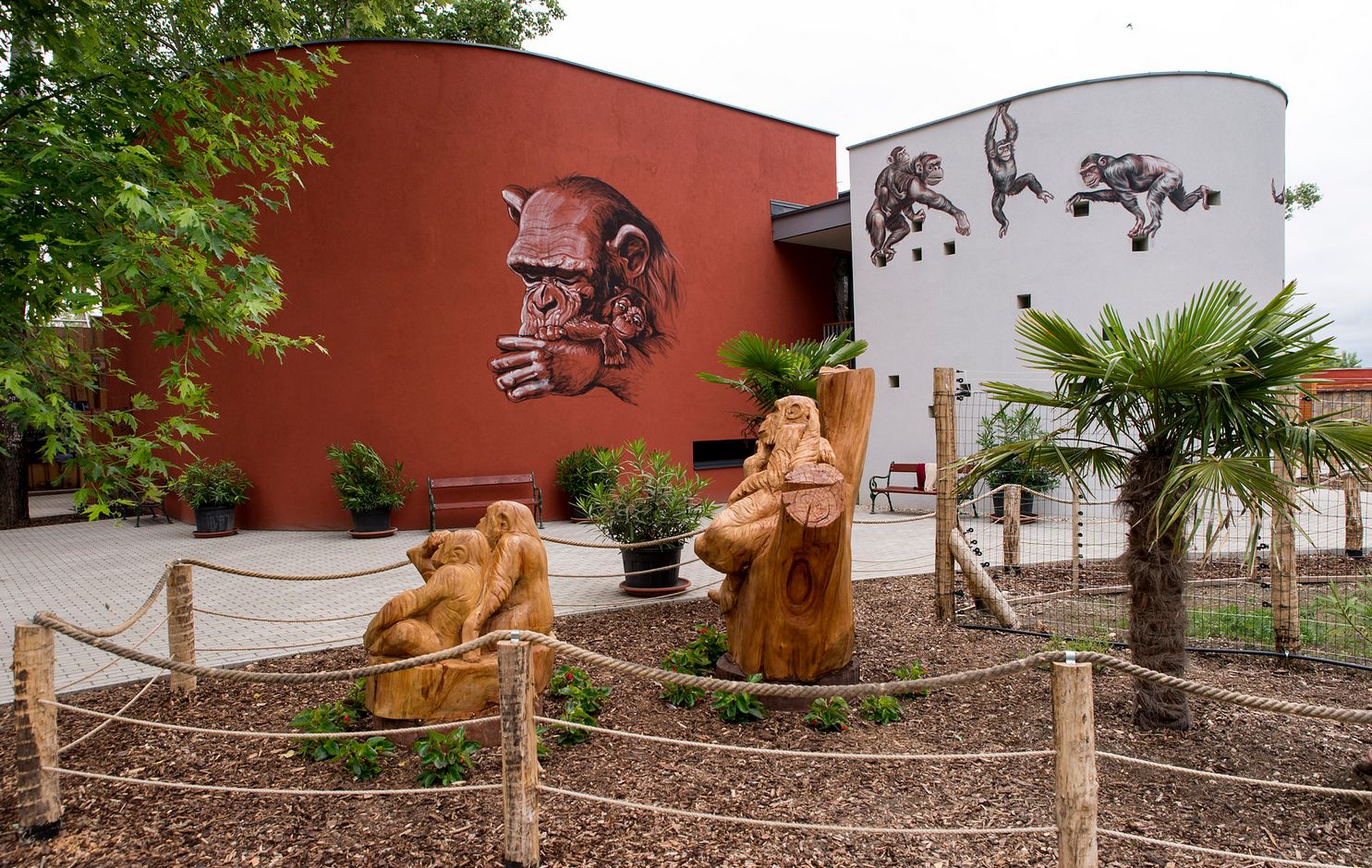 Neues Schimpansenhaus im Györer Zoo | Ungarn-TV.com | Reisemagazin ...